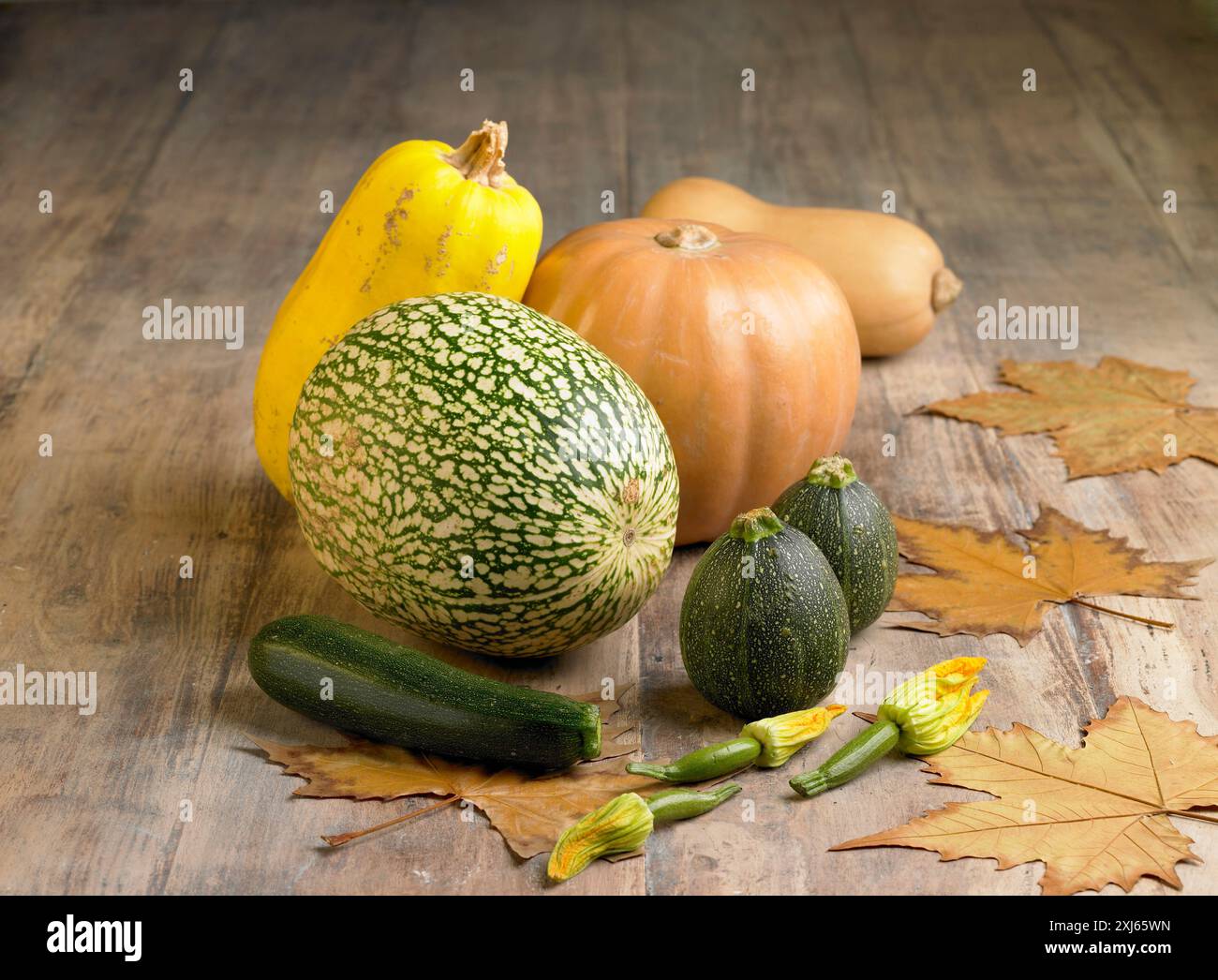 Round marrows hi-res stock photography and images - Alamy