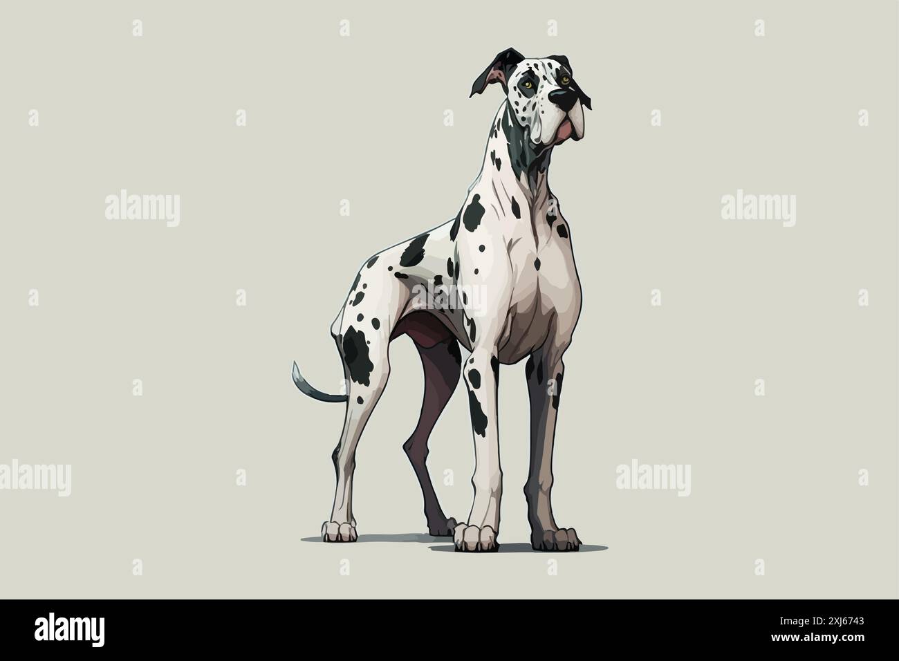 Dog breeding info hi-res stock photography and images - Alamy