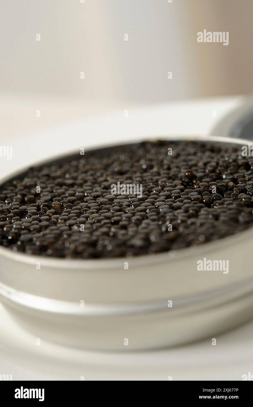 Caviar fish hi-res stock photography and images - Alamy