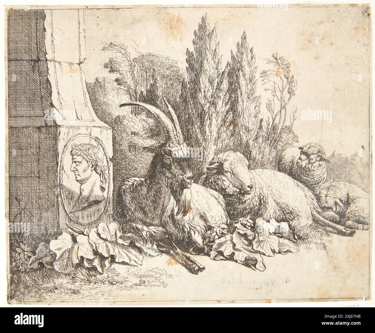 A 17th-century German etching by Johann Heinrich Roos depicting a lying ...