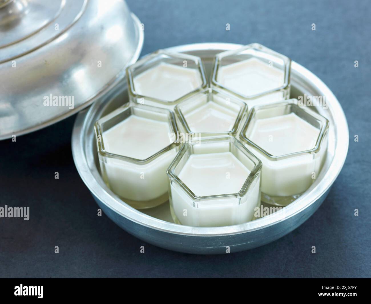 Old-fashioned yoghurt machine Stock Photo - Alamy