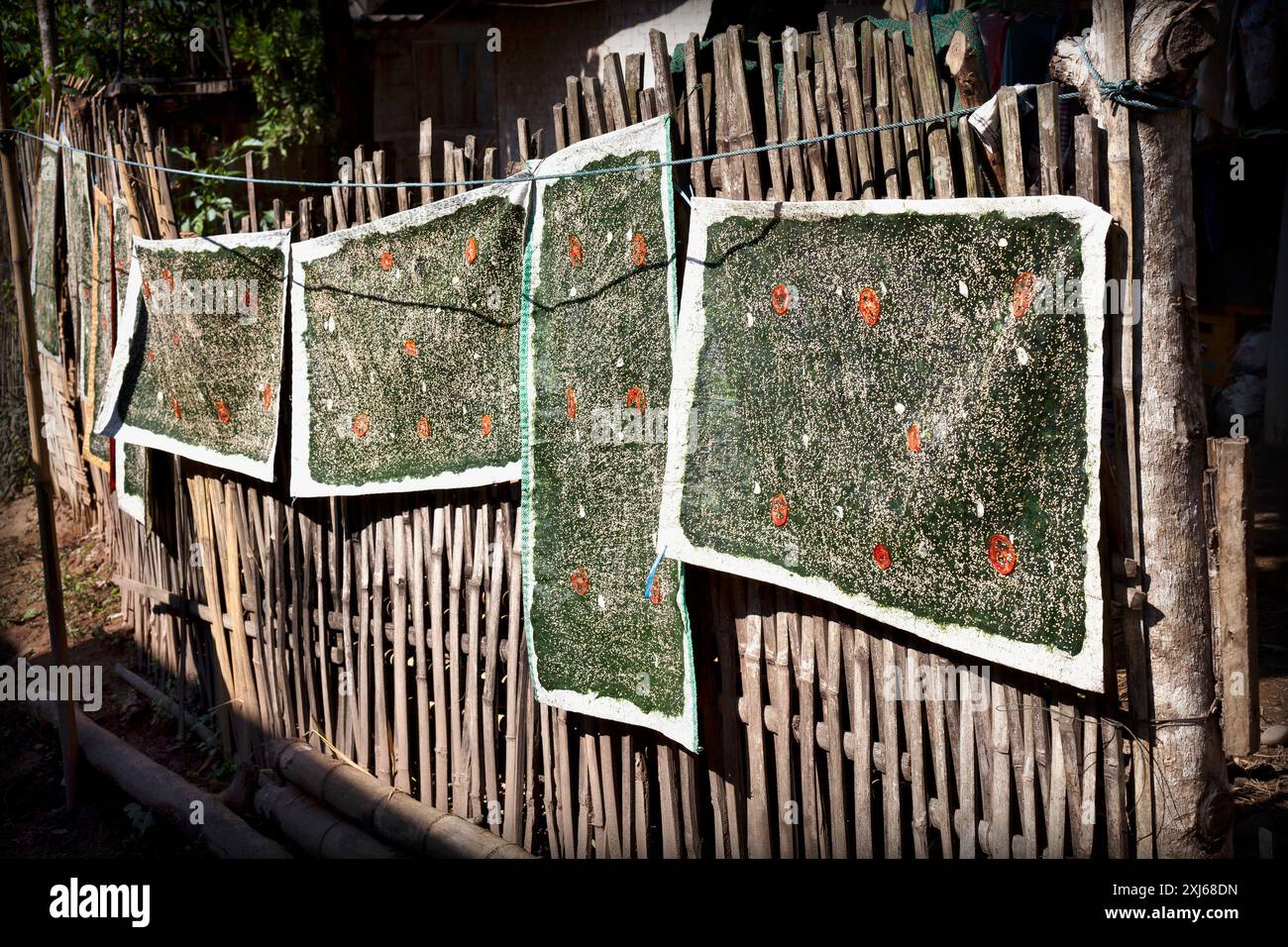Seaweed drying in sun hi-res stock photography and images - Alamy