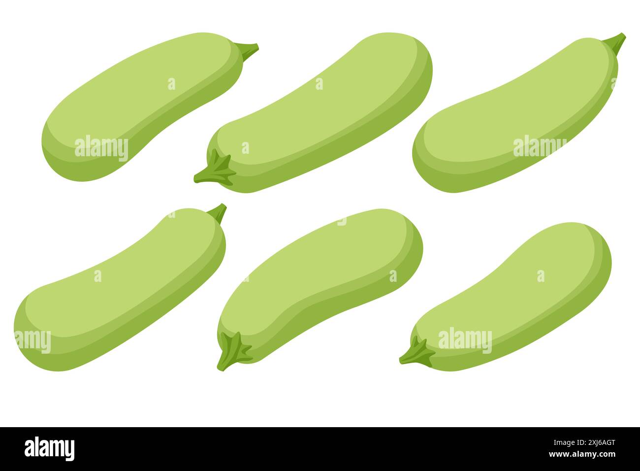 Zucchini set. Whole vegetable, cut, single and group. Flying slices ...