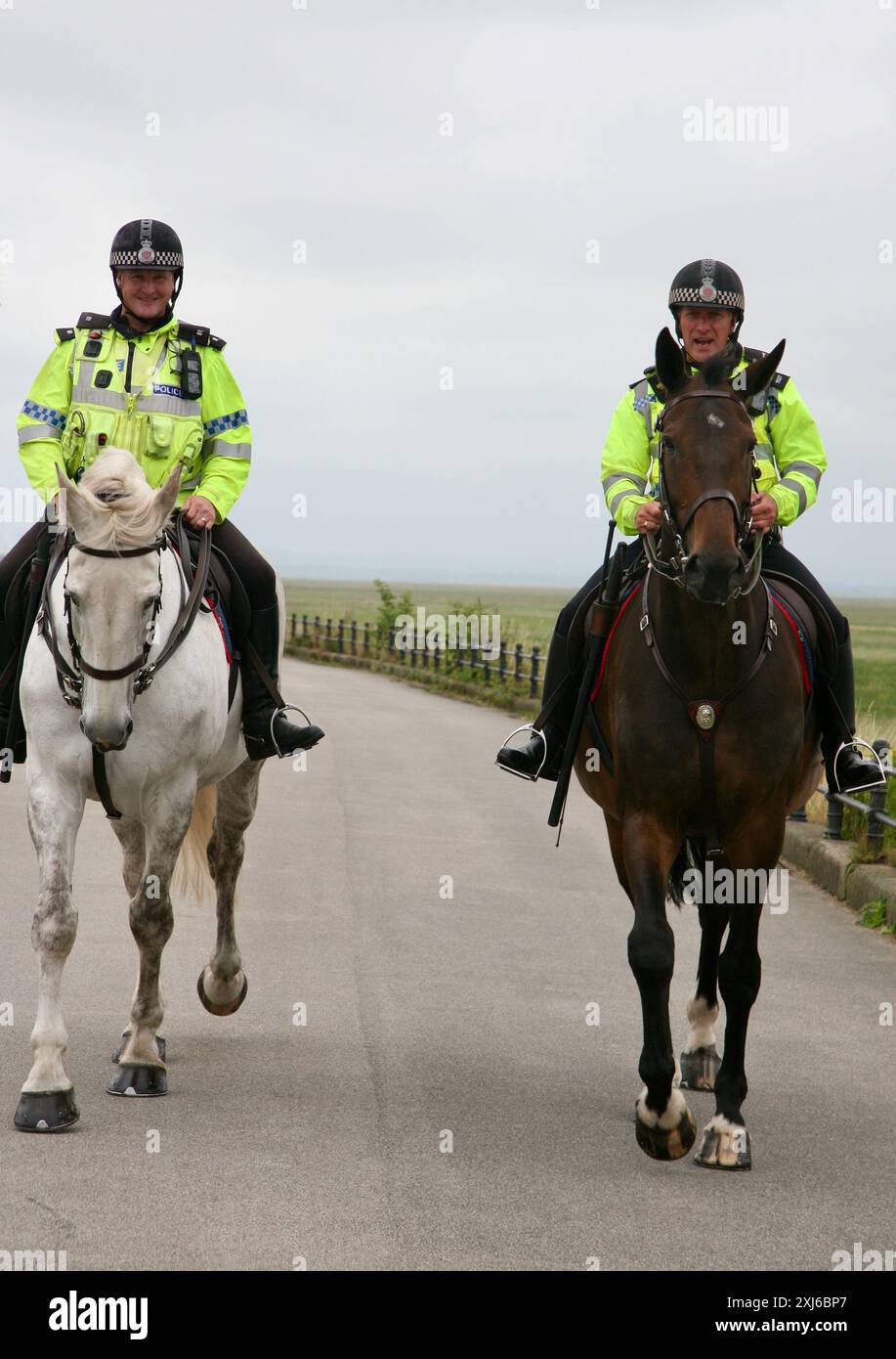 Horses jackets horse jacket hi-res stock photography and images - Alamy
