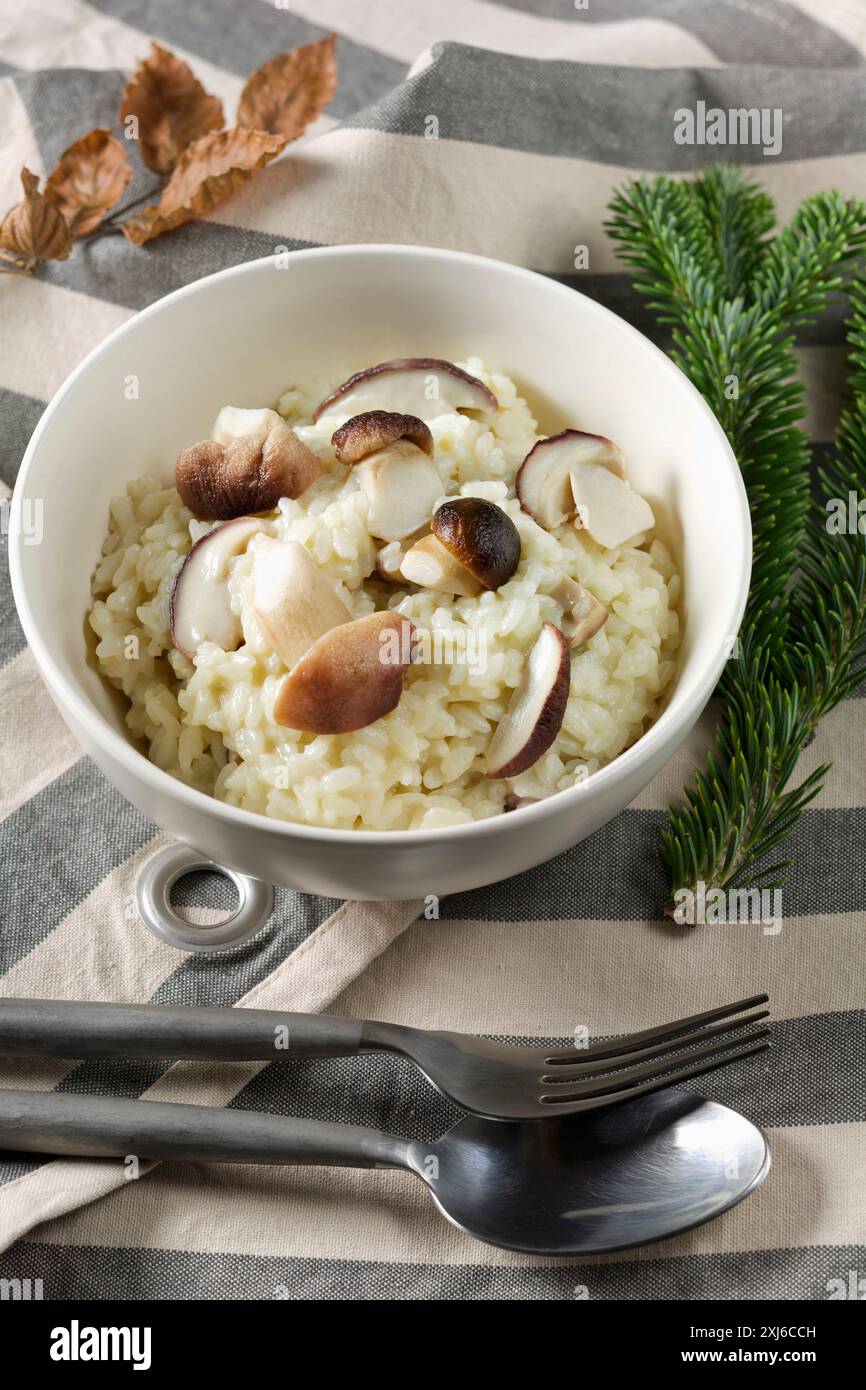 Rice vialone nano hi-res stock photography and images - Alamy