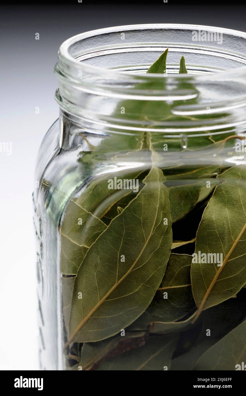 Bay leaves and jar hi-res stock photography and images - Alamy