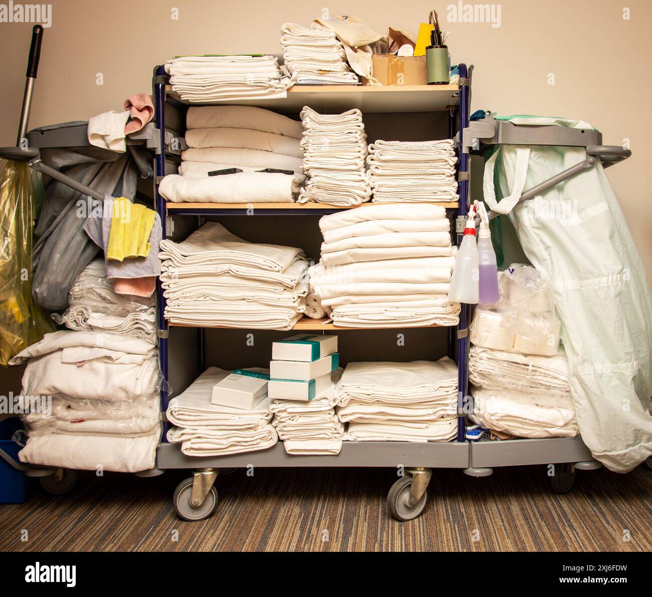 Commercial janitorial cart in a hospital, fully equipped with neatly ...