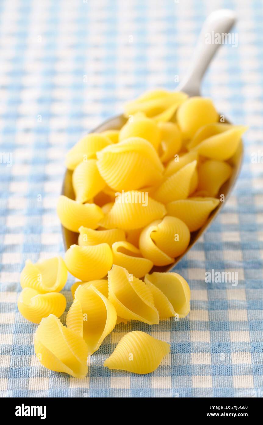 Conchiglie hi-res stock photography and images - Alamy