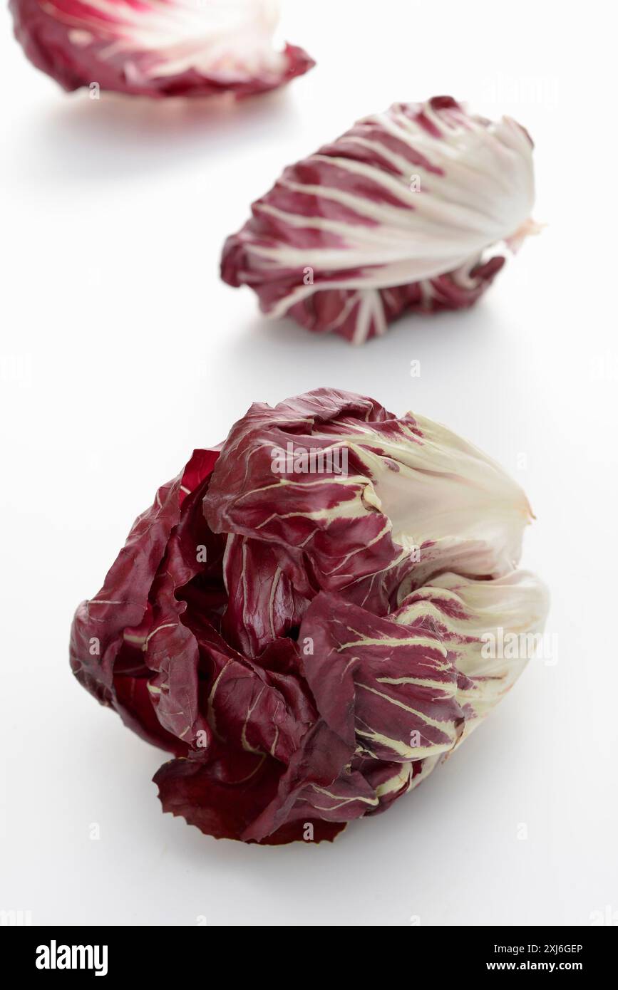 Red chicory lettuce hi-res stock photography and images - Alamy