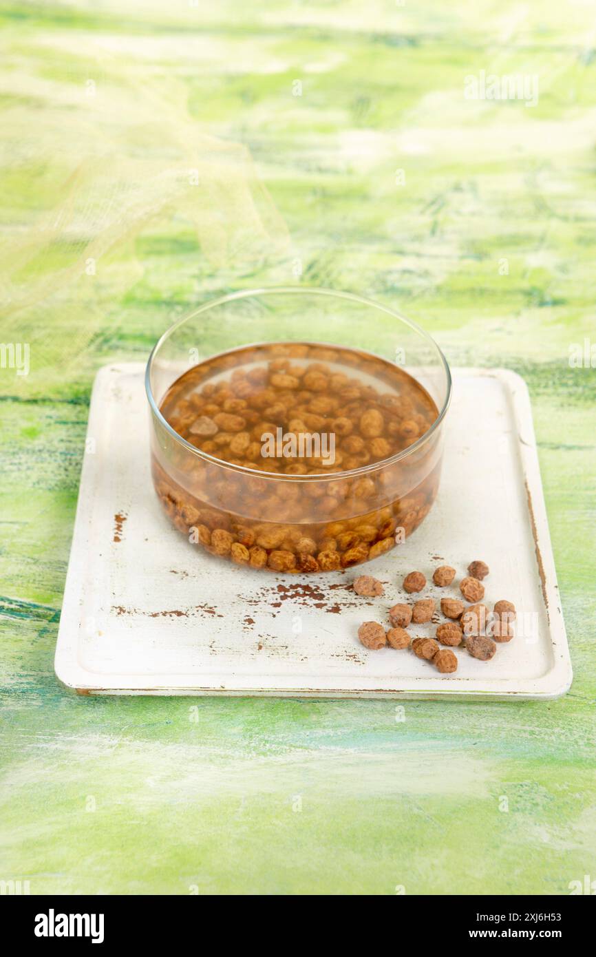 Ginger root in water hi-res stock photography and images - Alamy