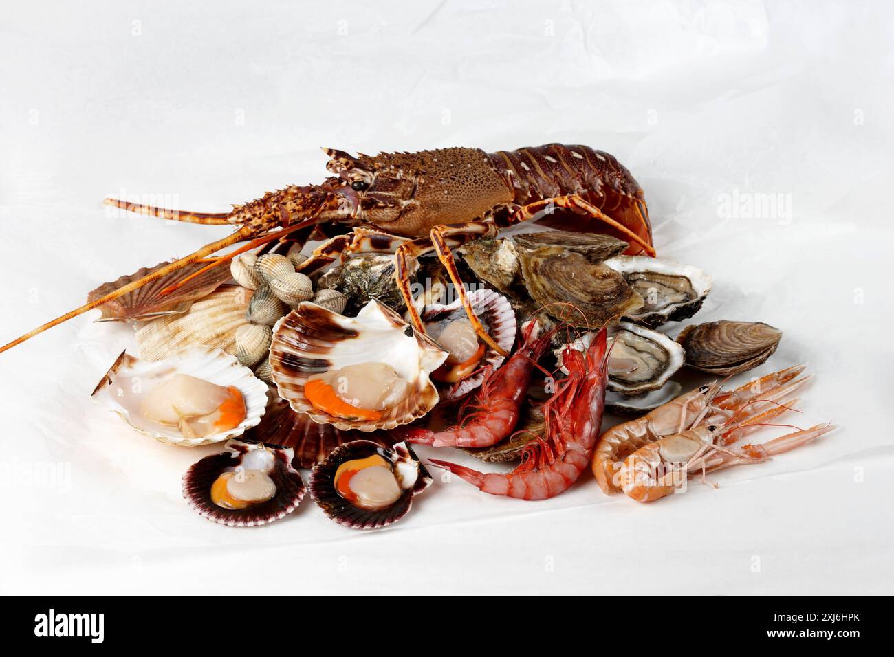 Shellfish assortment hi-res stock photography and images - Alamy