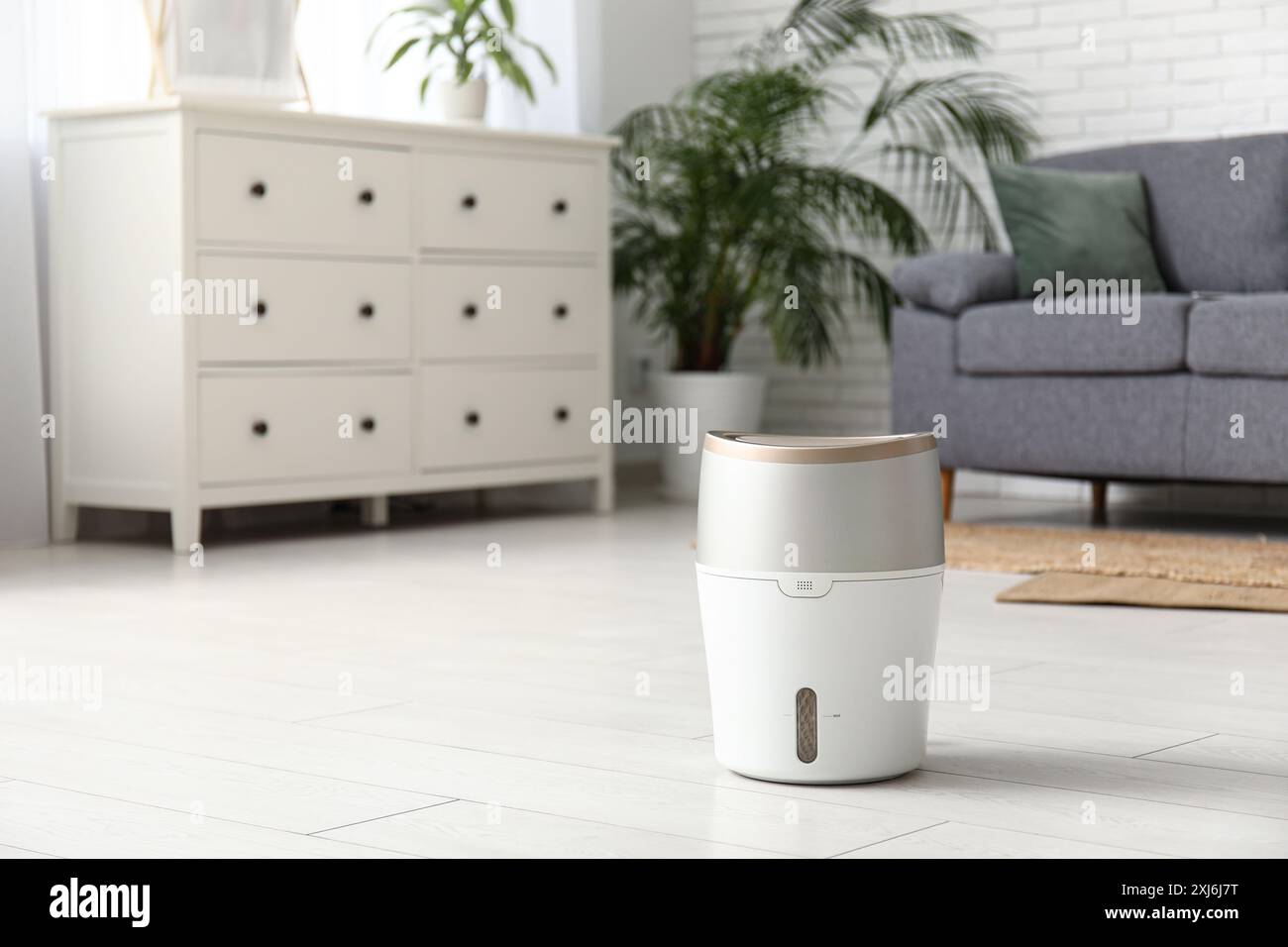 Black sofa, chest of drawers and modern humidifier on floor in living ...