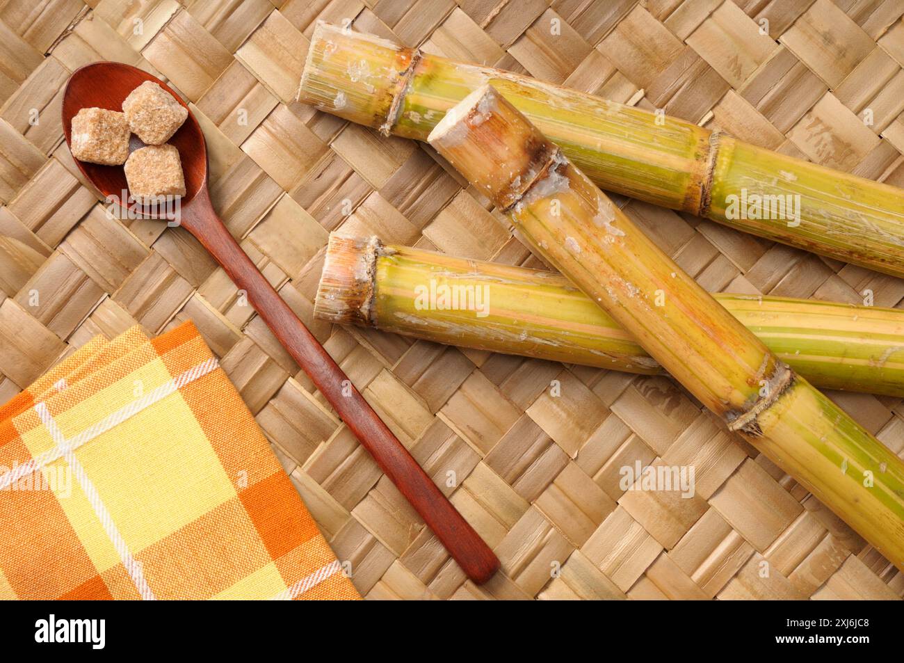 Selective focus shot cane hi-res stock photography and images - Alamy