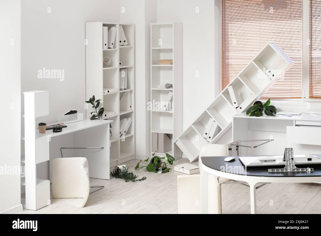 Interior of messy office with overturned furniture and houseplants ...