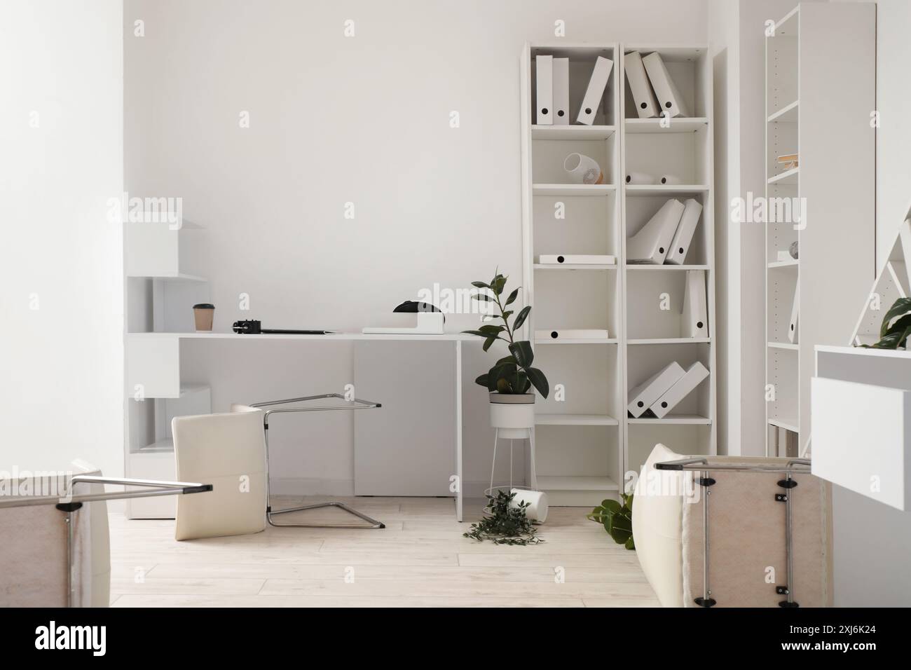 Interior of messy office with overturned furniture and houseplants ...