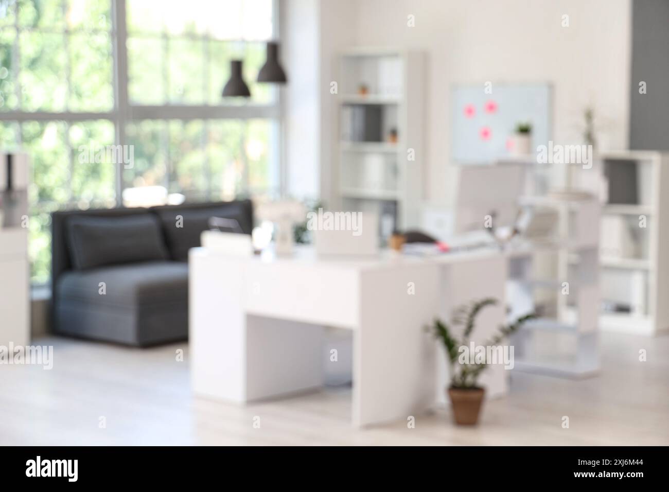 Blurred view of modern office with workplace, couch and shelf units ...