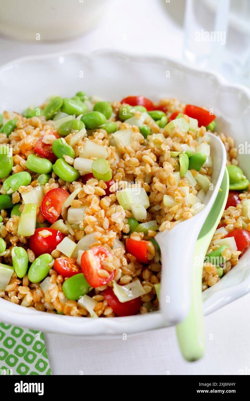 Small spelt with fennel,baby broad beans and cherry tomatoes Stock ...