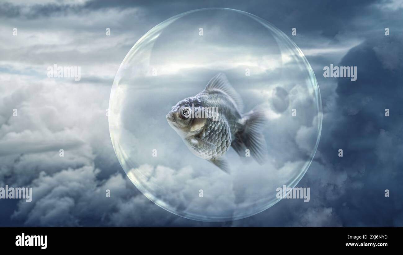 A transparent bubble hi-res stock photography and images - Alamy