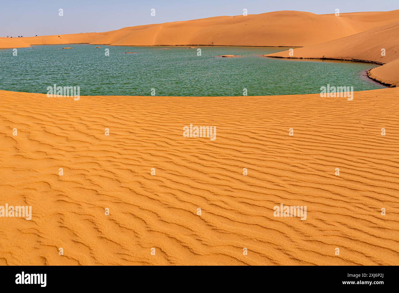 Lake in desert landscape after rain, Saudi Arabia Stock Photo - Alamy