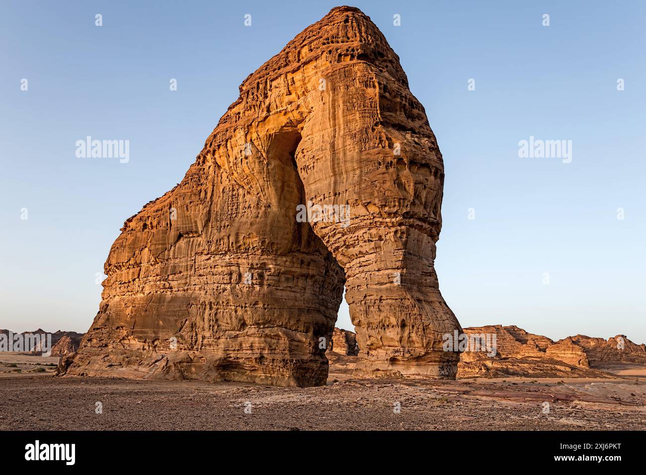 Elephant shaped rock formation in desert, AlUla, Saudi Arabia Stock ...