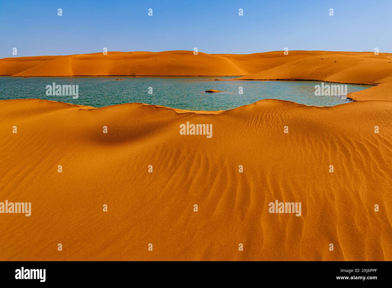Desert lake in sand dunes after rain, Saudi Arabia Stock Photo - Alamy