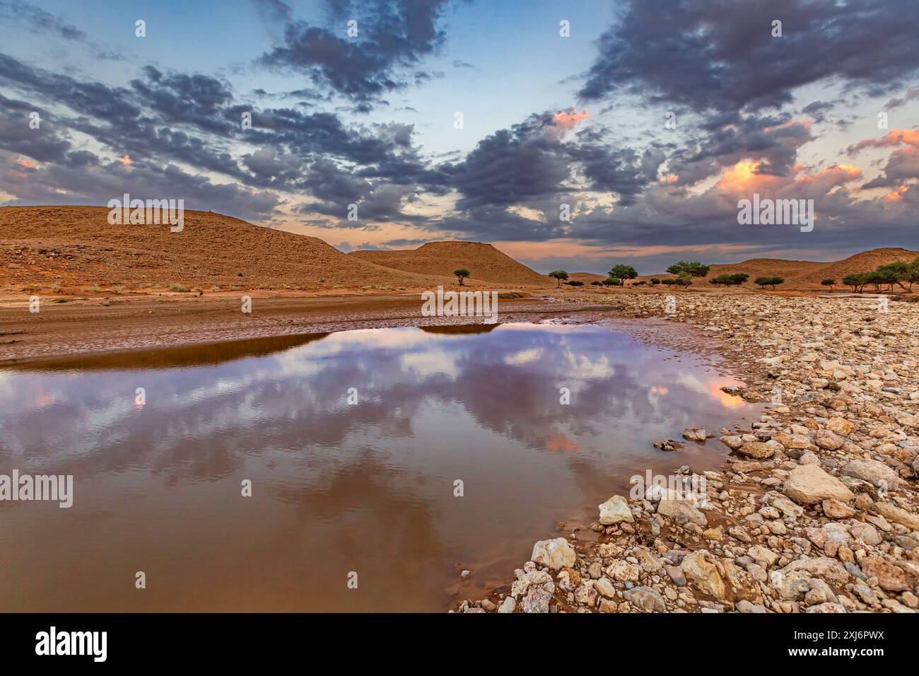 Desert landscape after rain, Saudi Arabia Stock Photo - Alamy