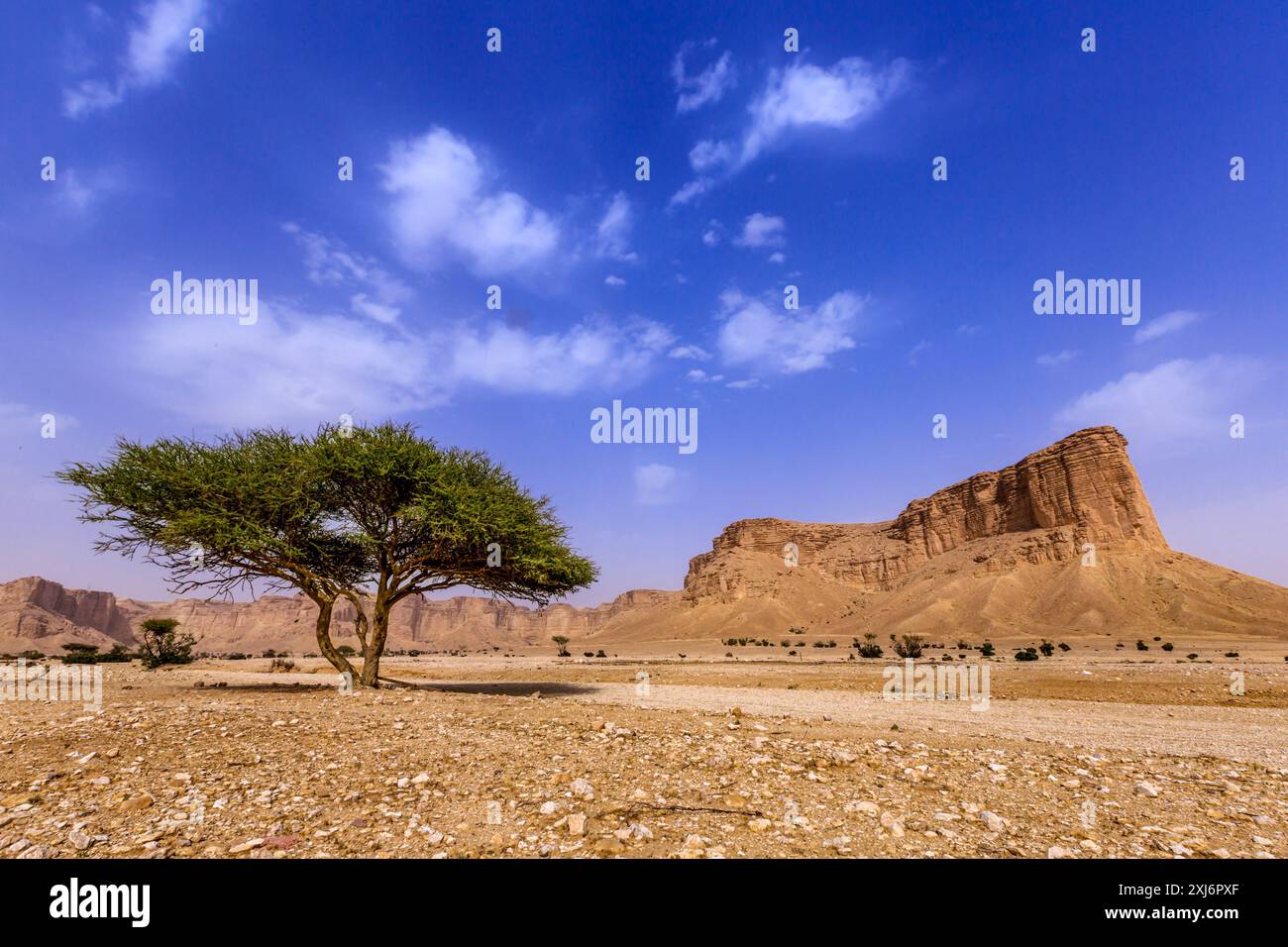 Tuwaiq escarpment saudi arabia hi-res stock photography and images - Alamy
