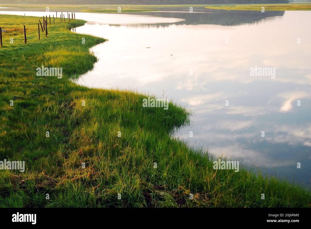 A coastal New England marsh reflects the misty sunrise Stock Photo - Alamy