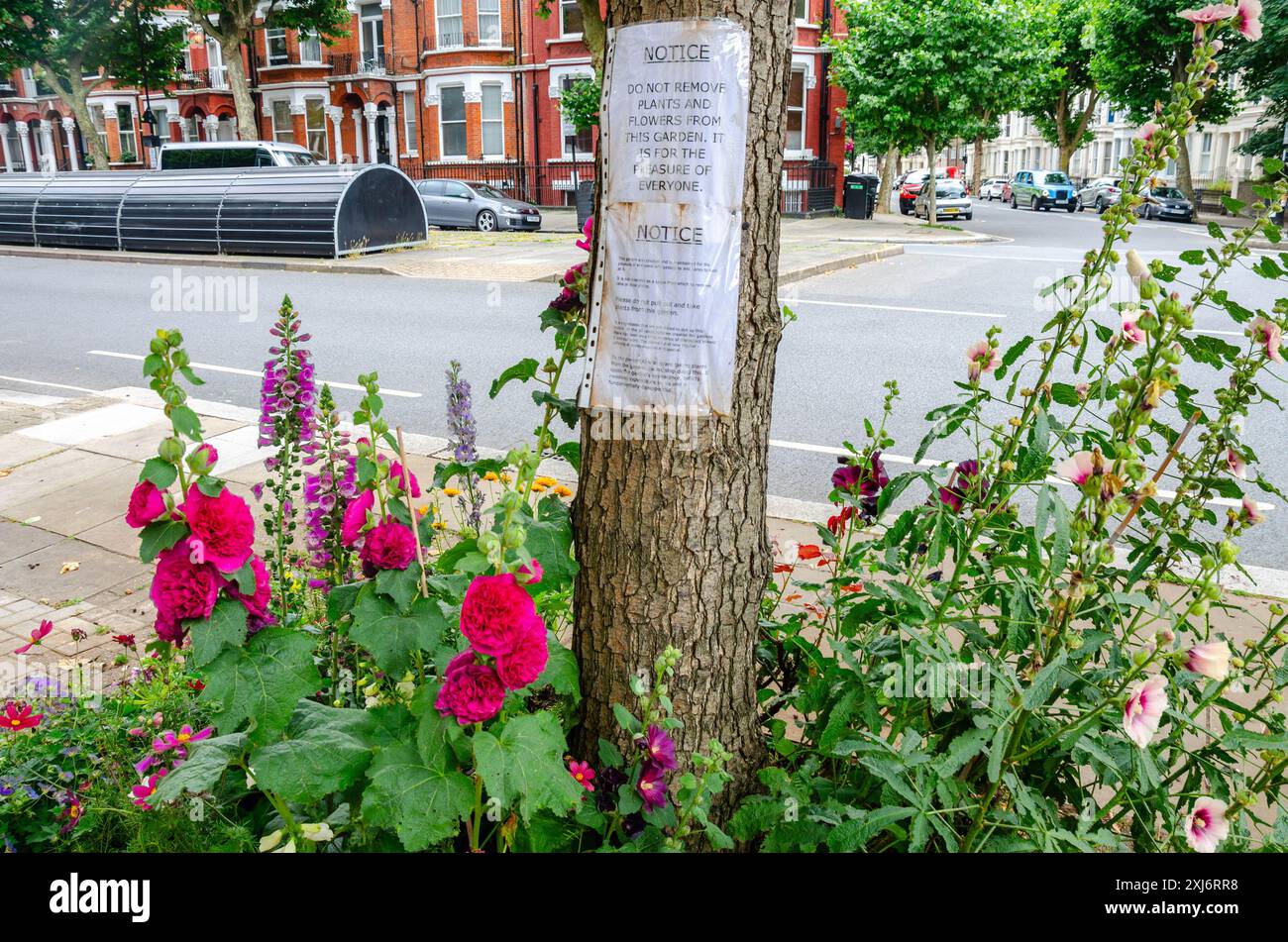Tree planting plant plants hi-res stock photography and images - Alamy