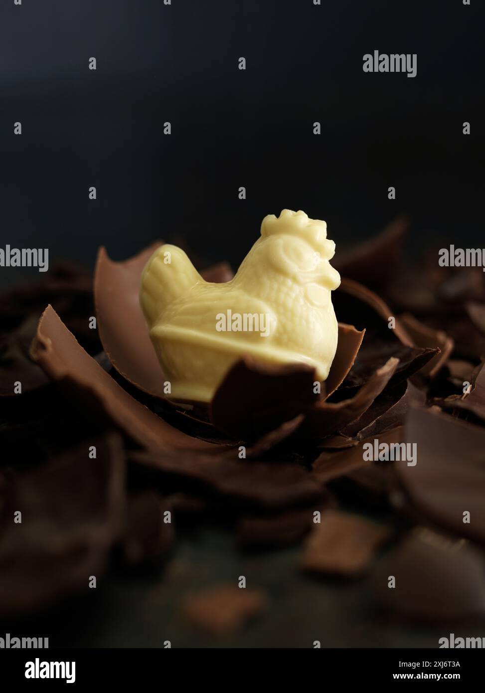 Broken milk chocolate milk chocolate easter egg and a white chicken hen ...