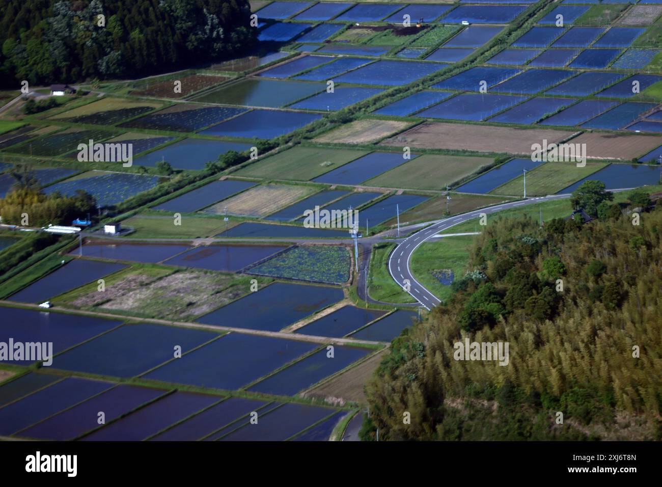the big scale of fields in Ibaraki prefecture, near the Tokyo metropolitan area Stock Photo - Alamy