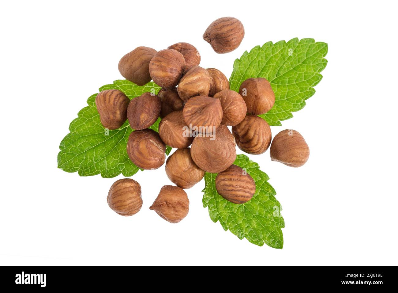Hazelnut peeled hazelnuts in hi-res stock photography and images - Alamy