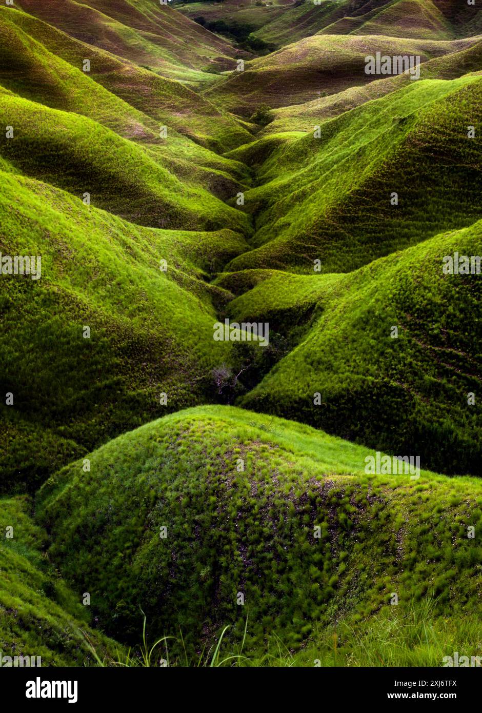 Aerial view of green rolling landscape, Indonesia Stock Photo - Alamy