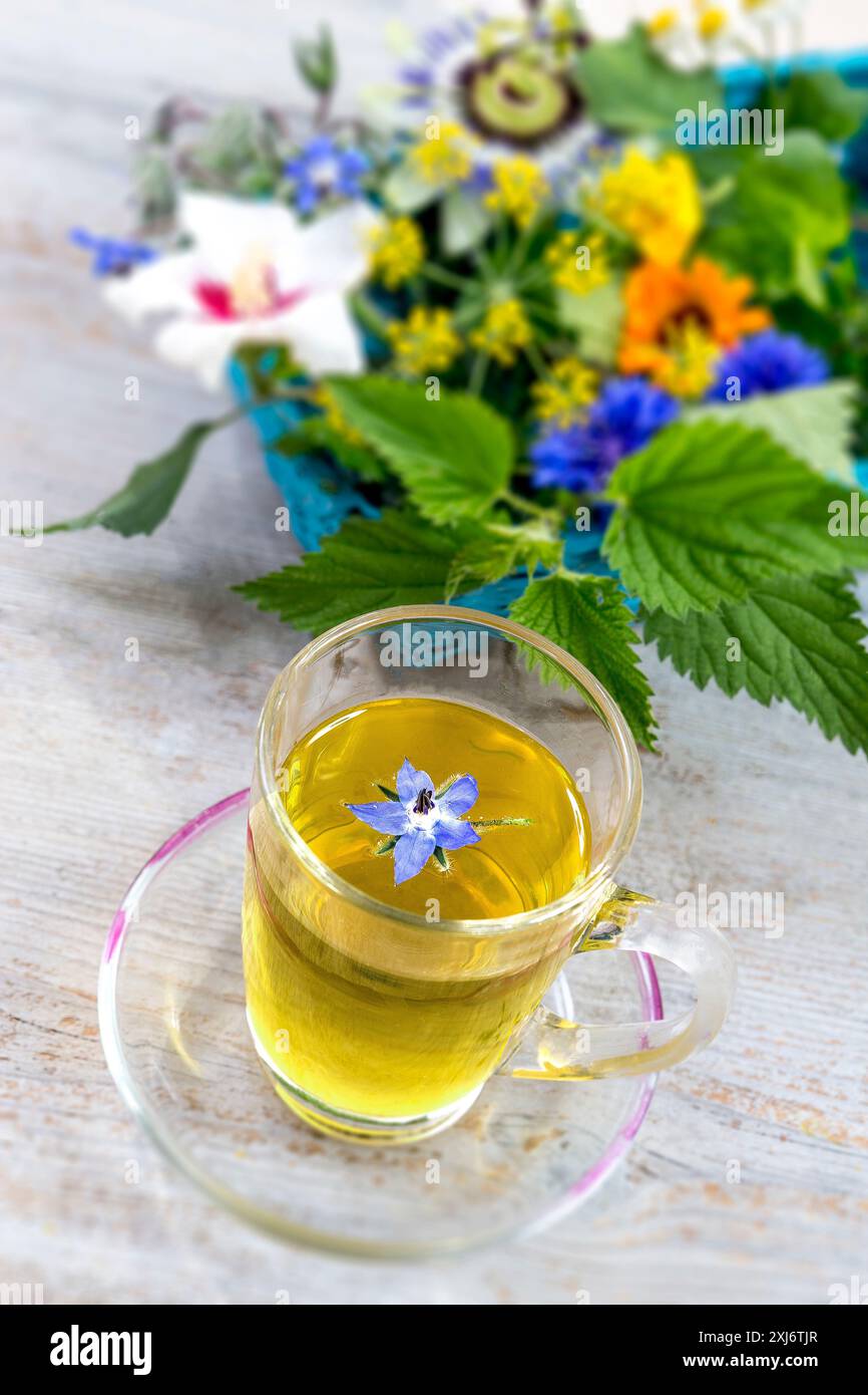 Flower herb drink hi-res stock photography and images - Alamy
