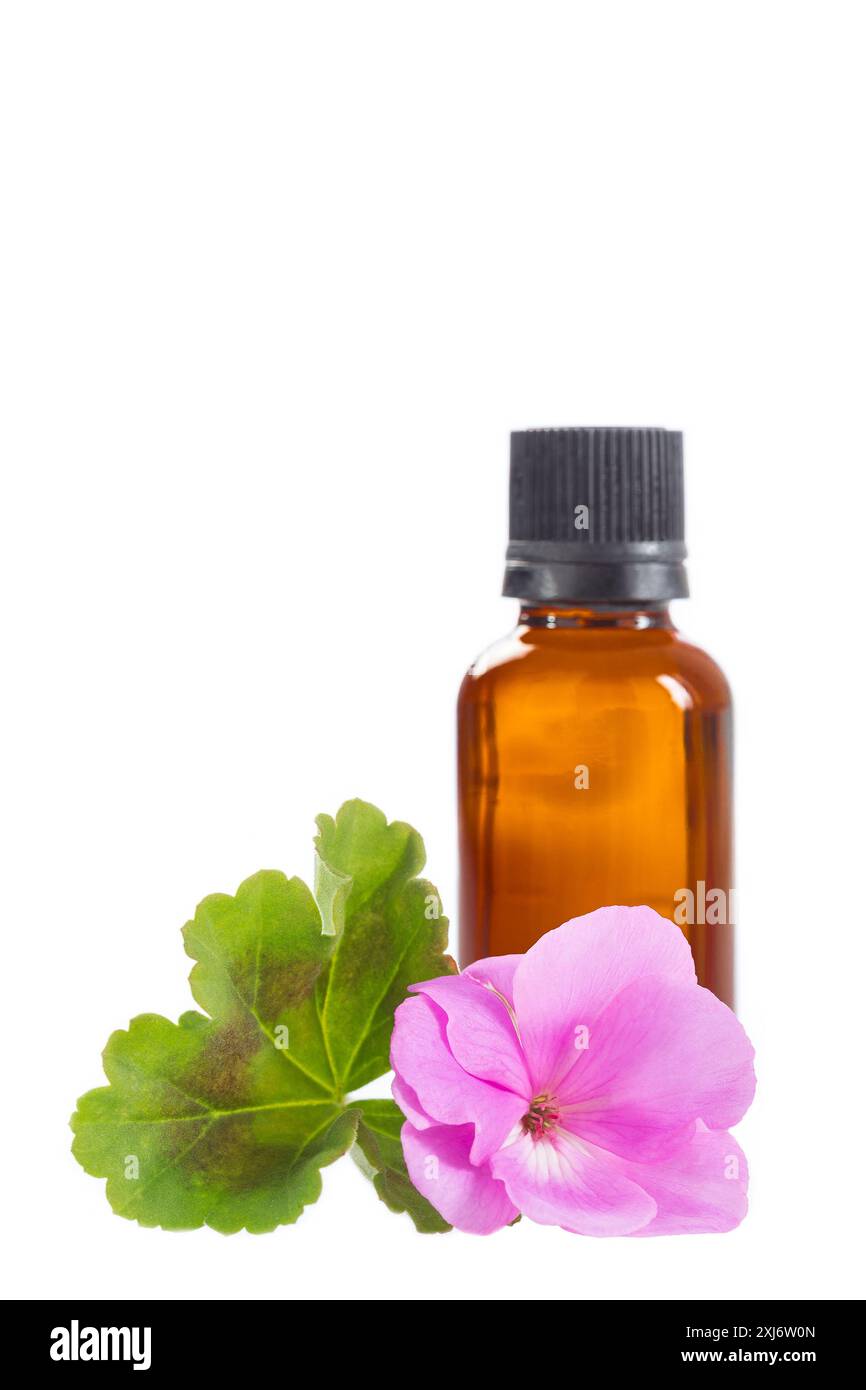 Geranium oil cut out hi-res stock photography and images - Alamy