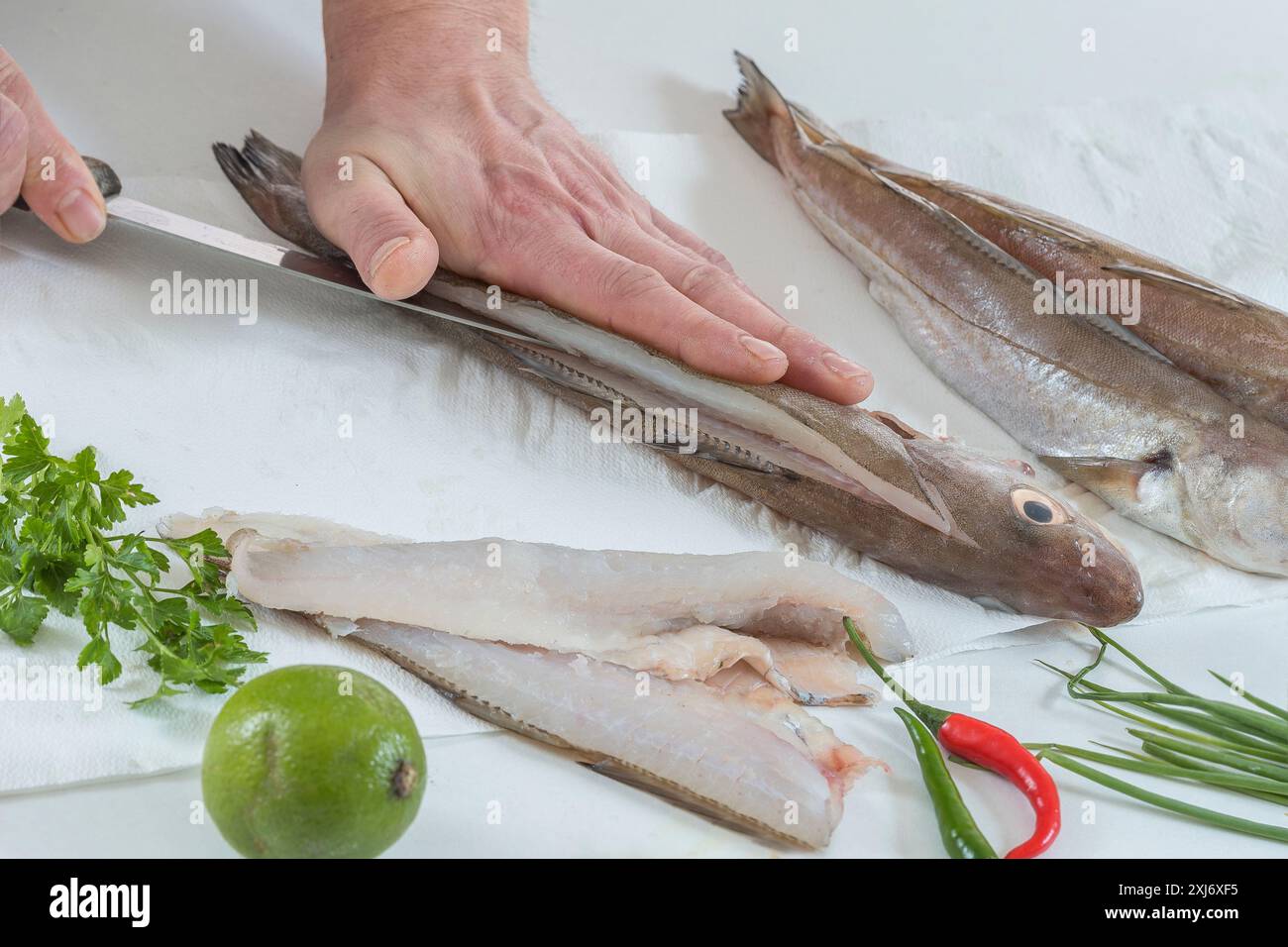 Whiting fish hi-res stock photography and images - Alamy