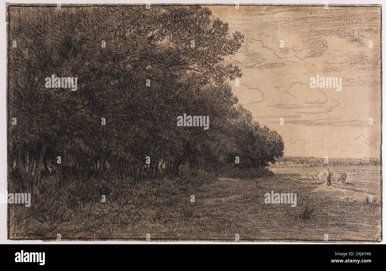 A small group of tall trees at the macherin forest Rousseau, Théodore ...