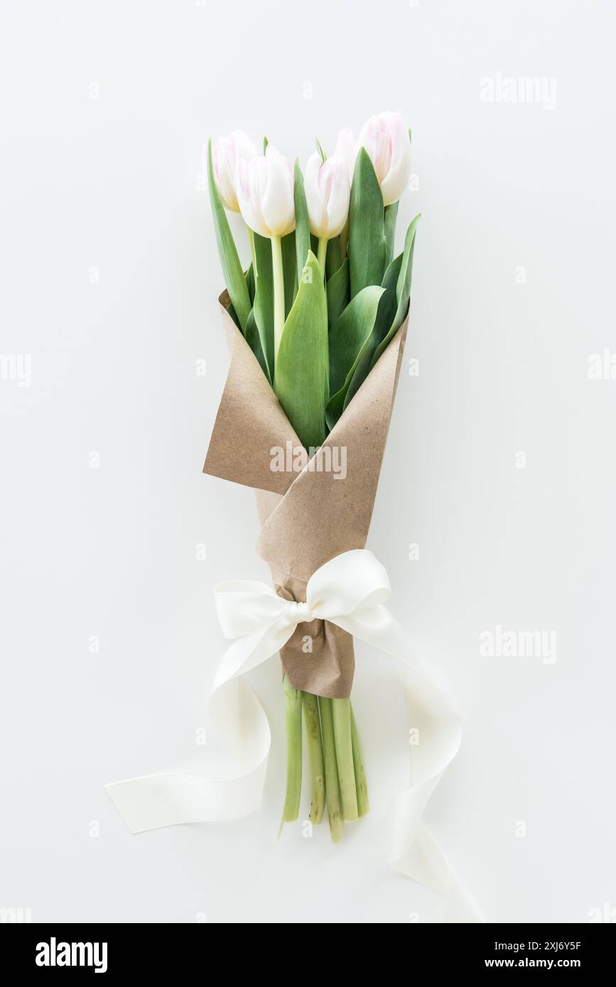 Tulipe biscuit hi-res stock photography and images - Alamy