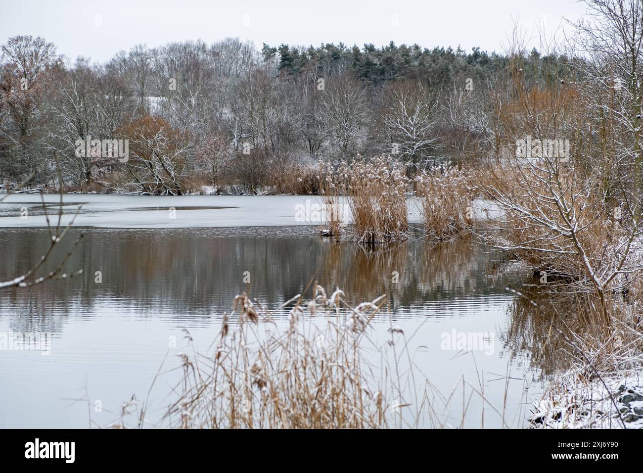 A winter lake covered in snow reflects the wild nature of Europe Stock ...