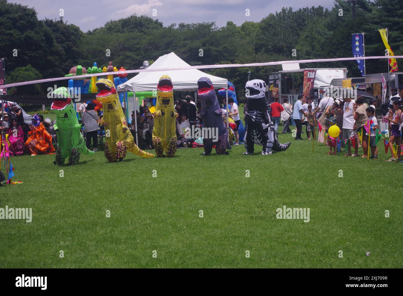Dino race hi-res stock photography and images - Alamy