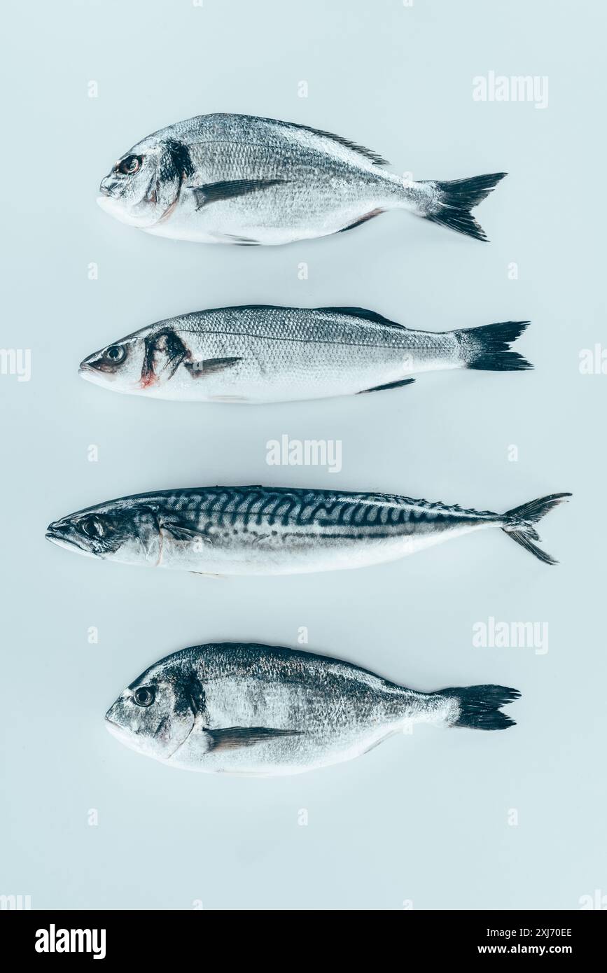 Assorted cold raw fish hi-res stock photography and images - Alamy