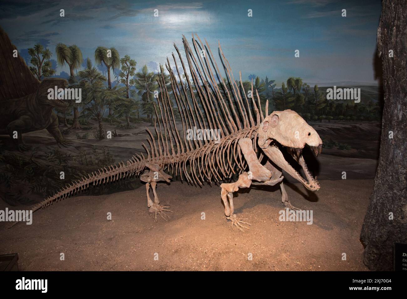 Royal Tyrrell Museum of Palaeontology in Drumheller in Alberta provides ...