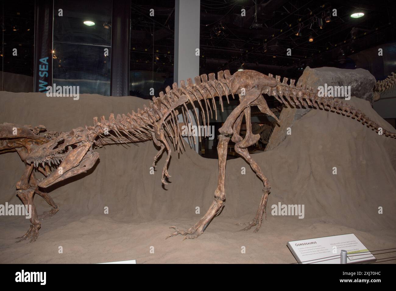 Royal Tyrrell Museum of Palaeontology in Drumheller in Alberta provides ...