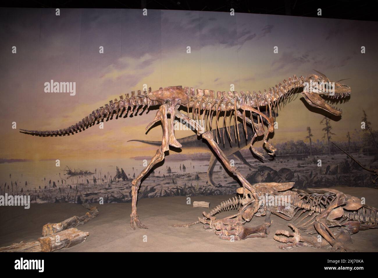 Royal Tyrrell Museum of Palaeontology in Drumheller in Alberta provides ...