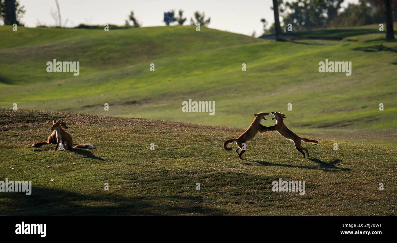 Kleine lagos hi-res stock photography and images - Alamy