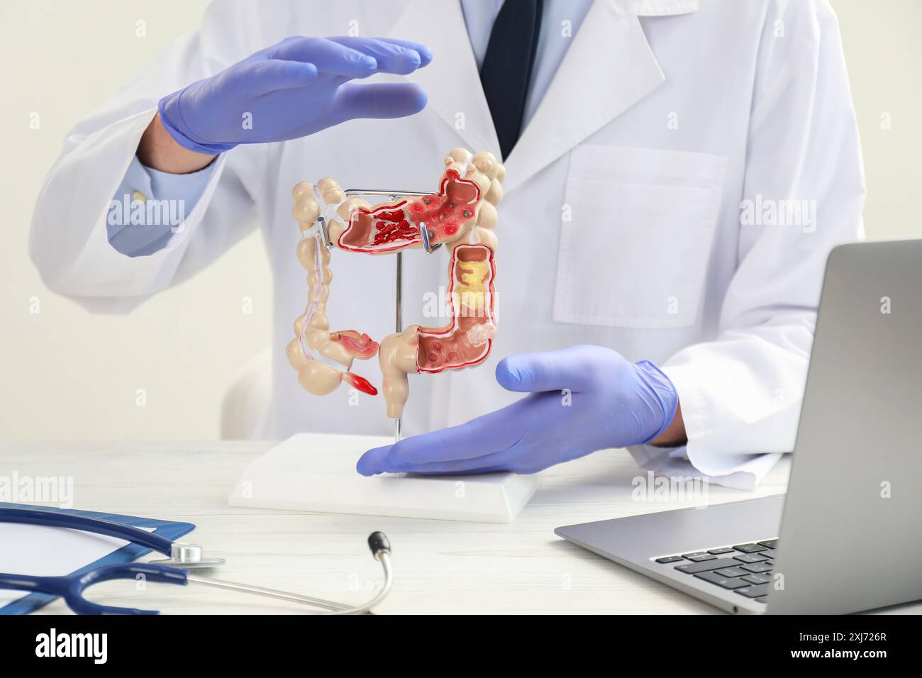Doctor showing model of large intestine at white table, closeup Stock ...