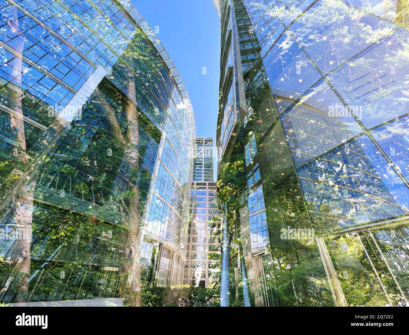 Environment. Modern buildings and trees, double exposure Stock Photo ...