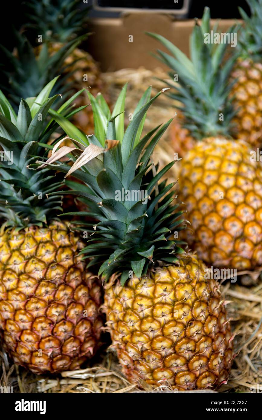 Box of pineapples hi-res stock photography and images - Alamy