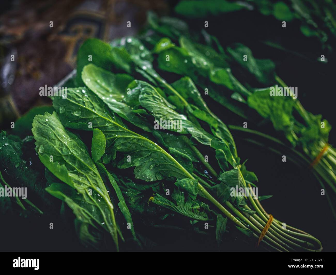 Sorrel leaf hi-res stock photography and images - Alamy