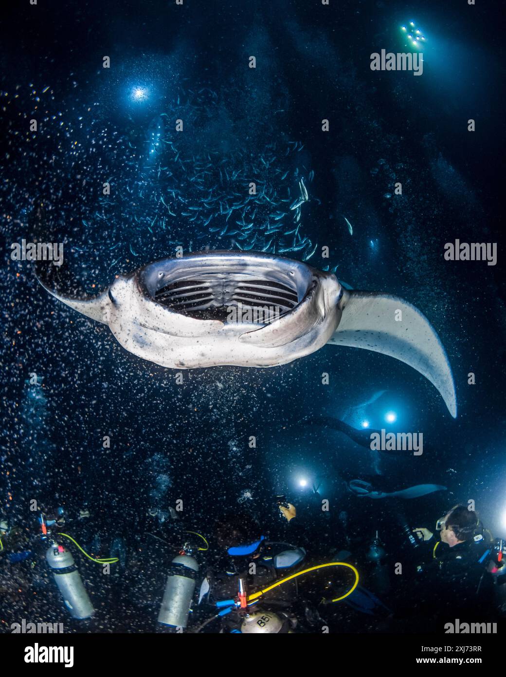 Lights underwater diver hi-res stock photography and images - Alamy